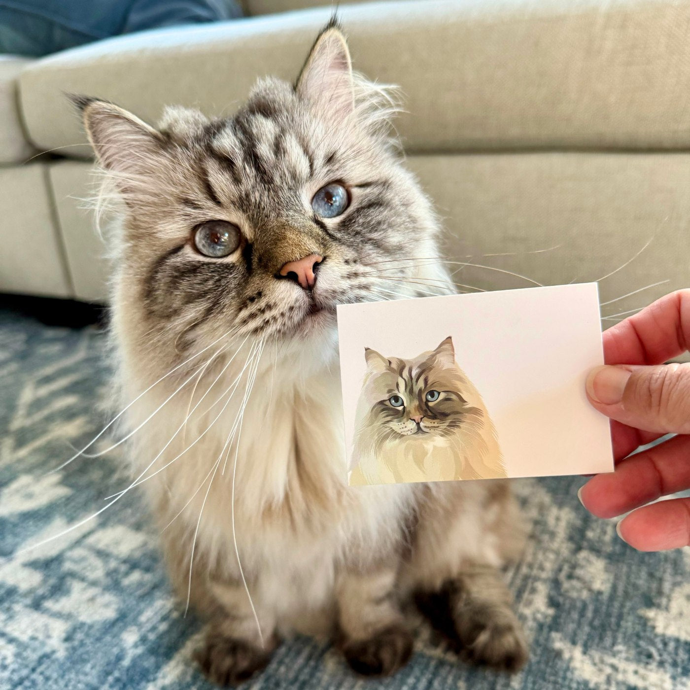 Custom Pet Portrait Mini Notes | The Best Custom Gifts for Pet Lovers